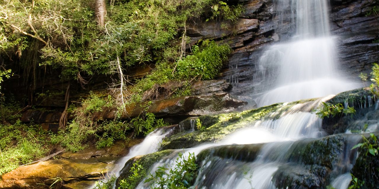 Watercourse, Wetlands and Riparian Lands Study | Your Say Northern Beaches