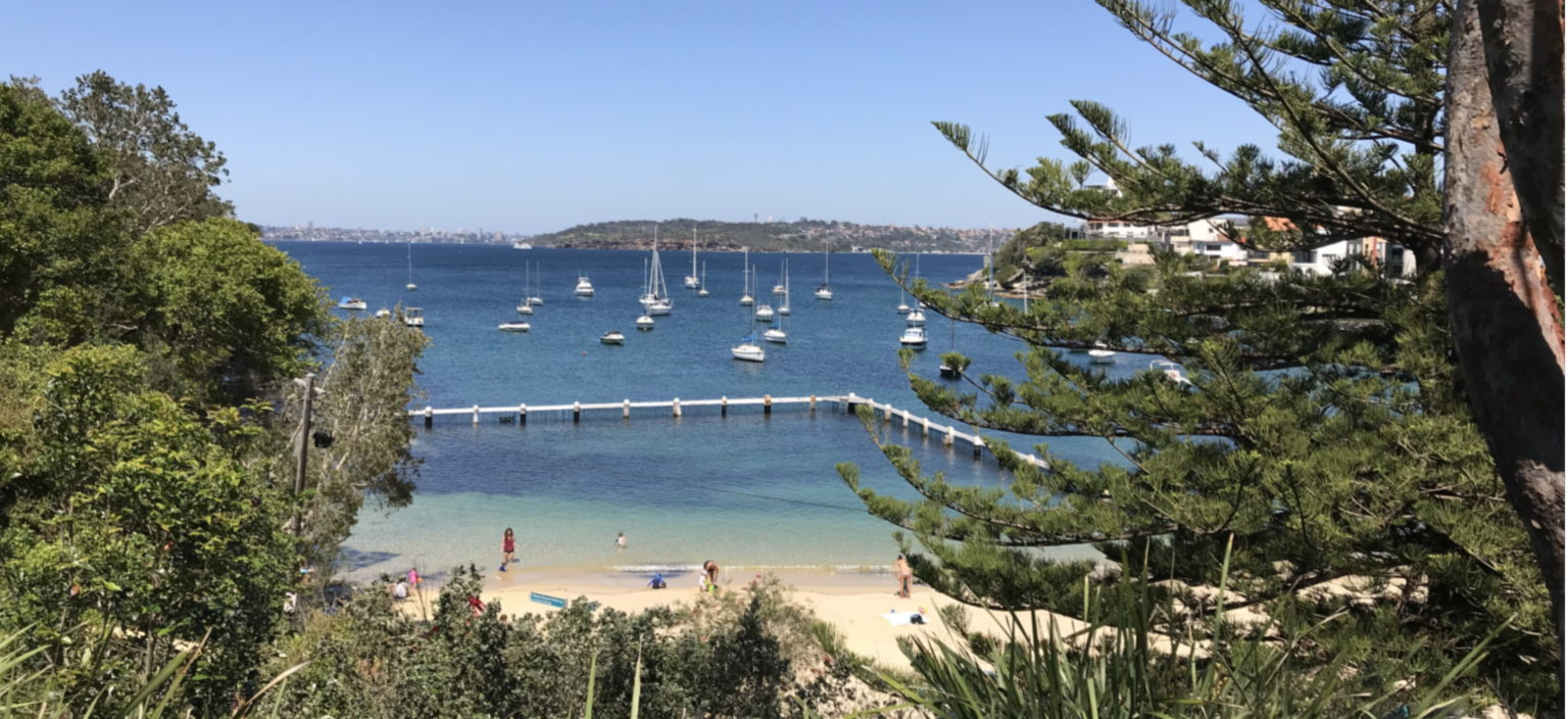 Little Manly Reserves Landscape Masterplan | Your Say Northern Beaches